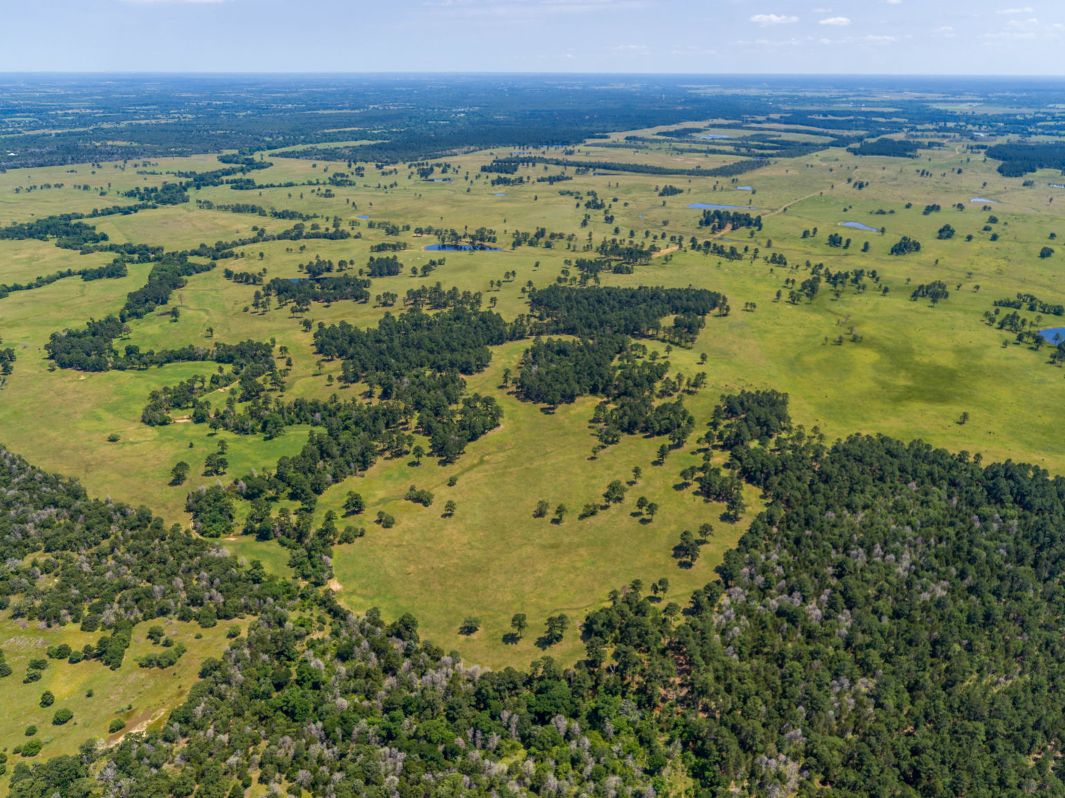 Grand Land Company – Texas Land, Land for Sale in Texas, Farm and Ranch